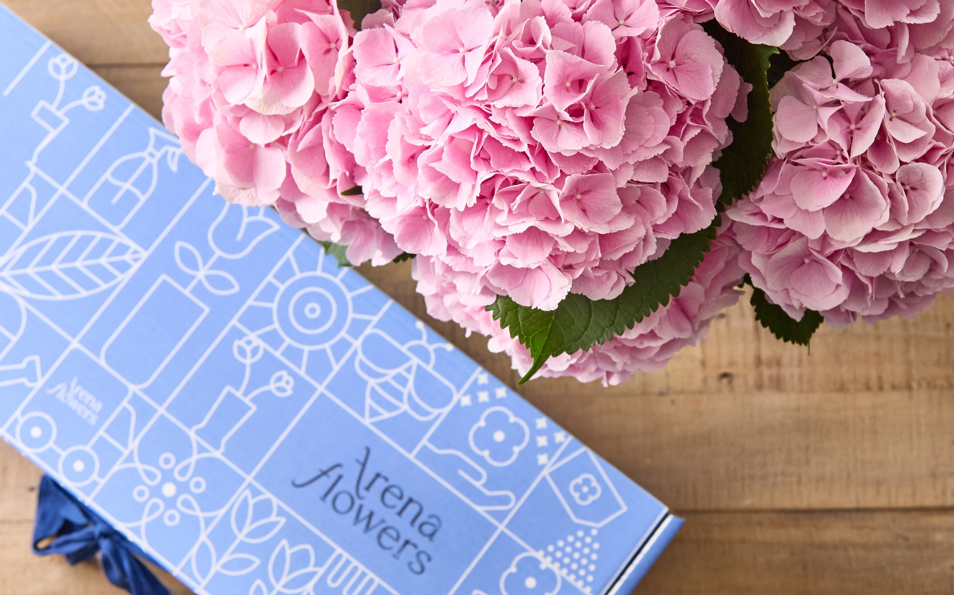 Letterbox Flowers | Next Day Delivery | Arena Flowers