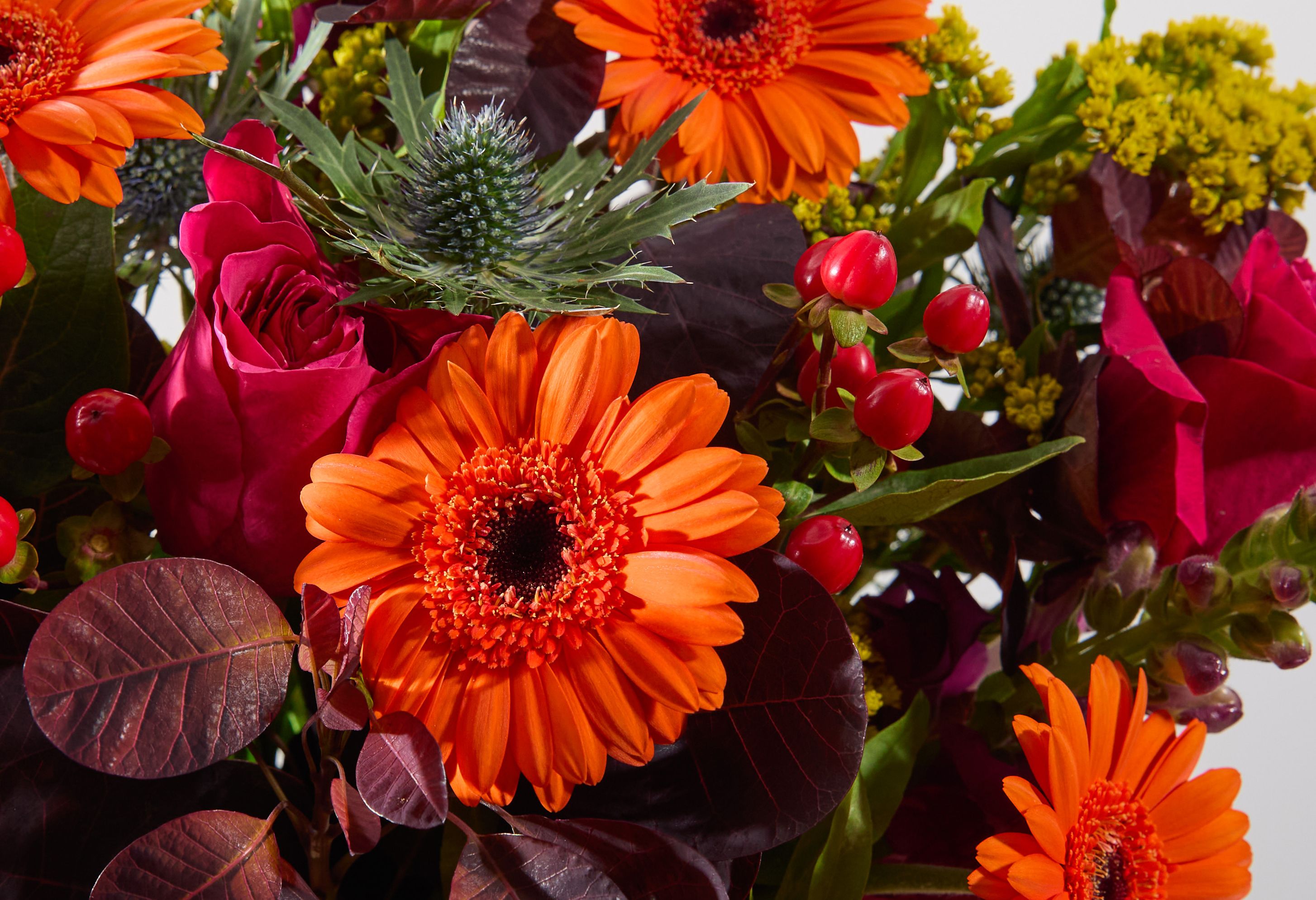 Arena Flowers - The UK's most ethical florist