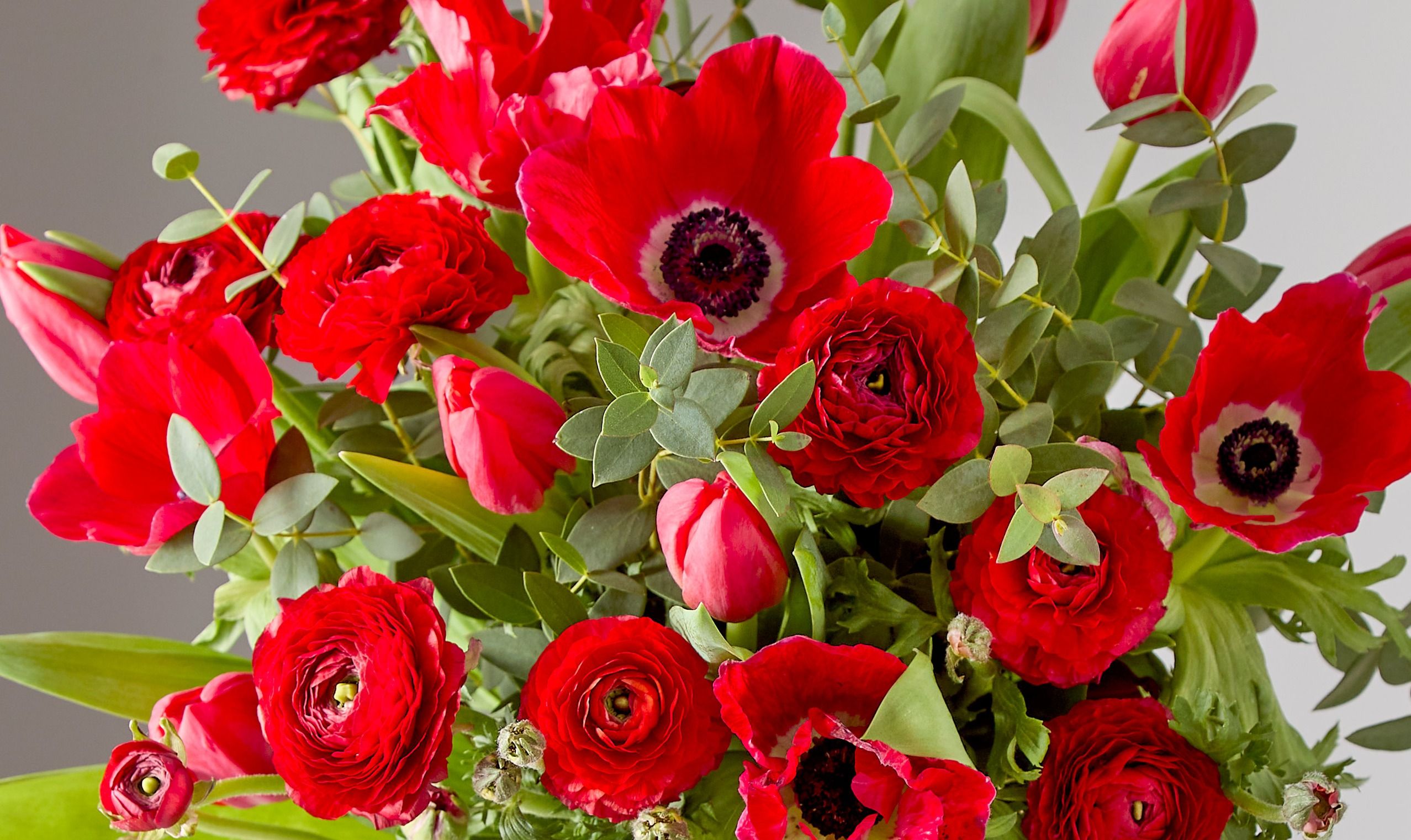 Send Bouquets with Red Flowers | Arena Flowers