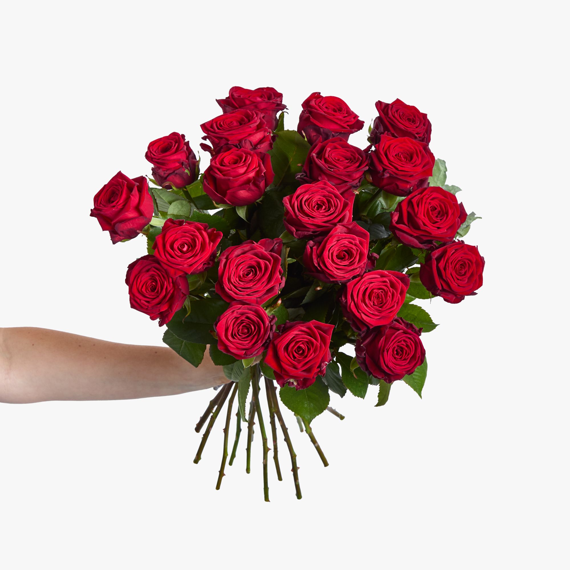 Ethical Flower Subscription in the UK | Arena Flowers