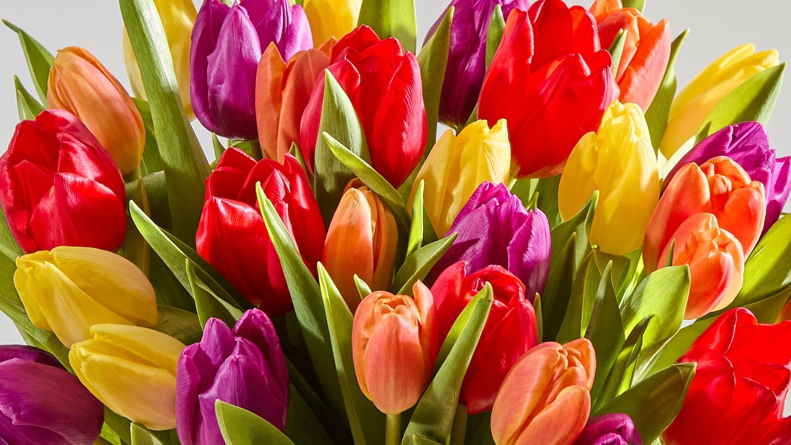 Arena Flowers - The UK's most ethical florist