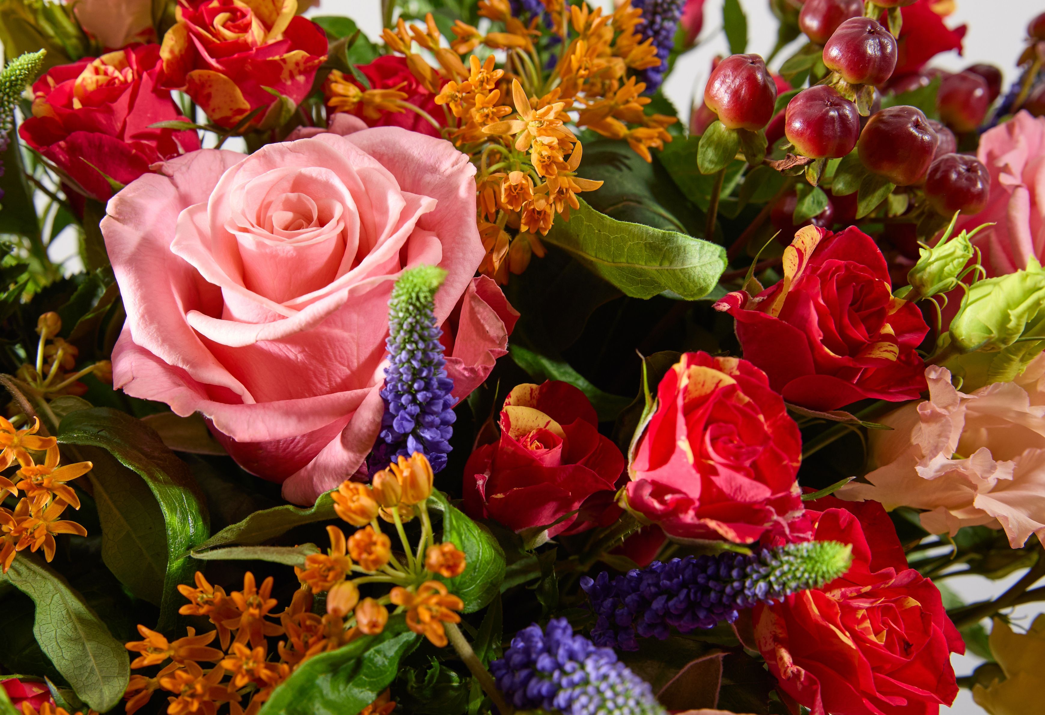 Arena Flowers - The UK's most ethical florist