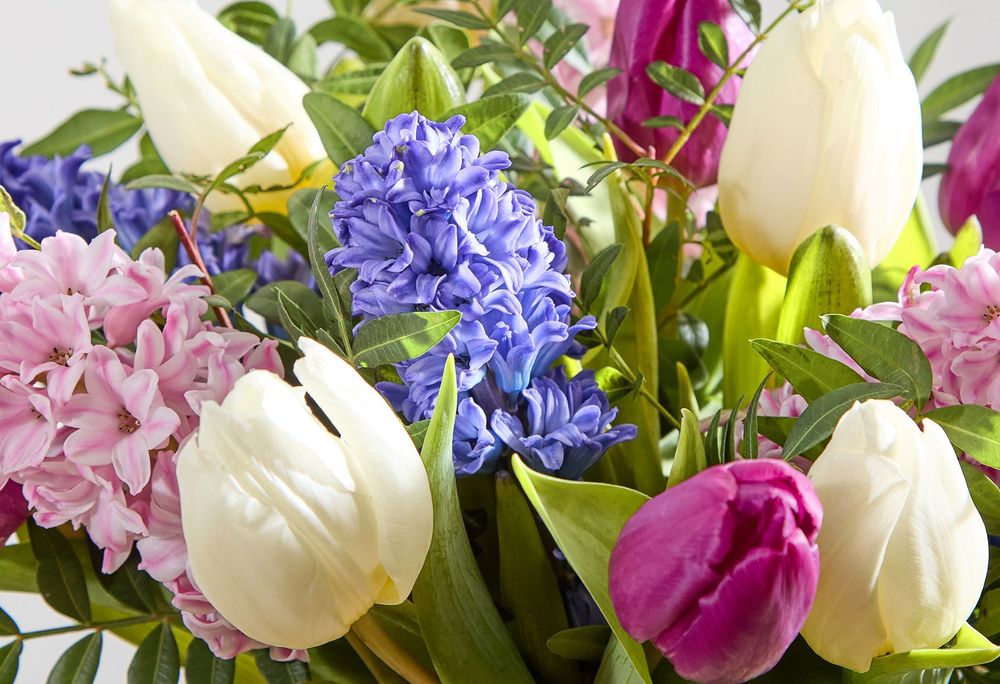 Arena Flowers - The UK's most ethical florist