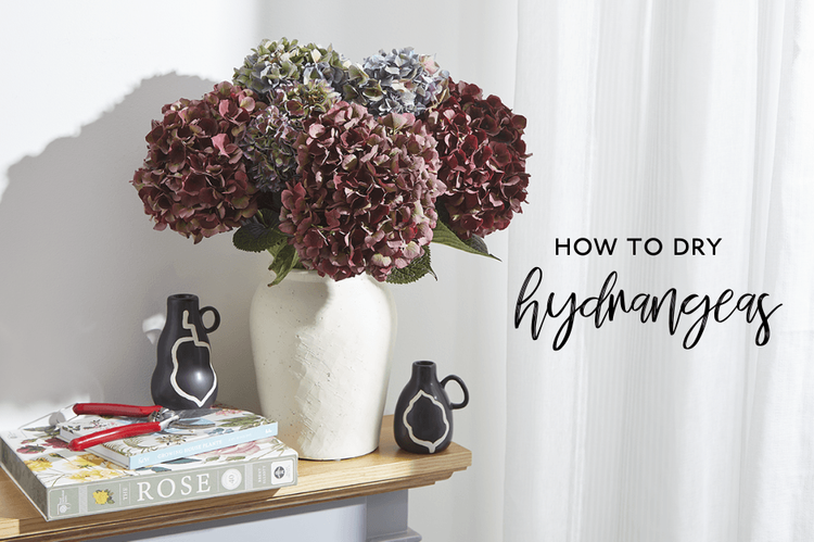 How to dry hydrangeas