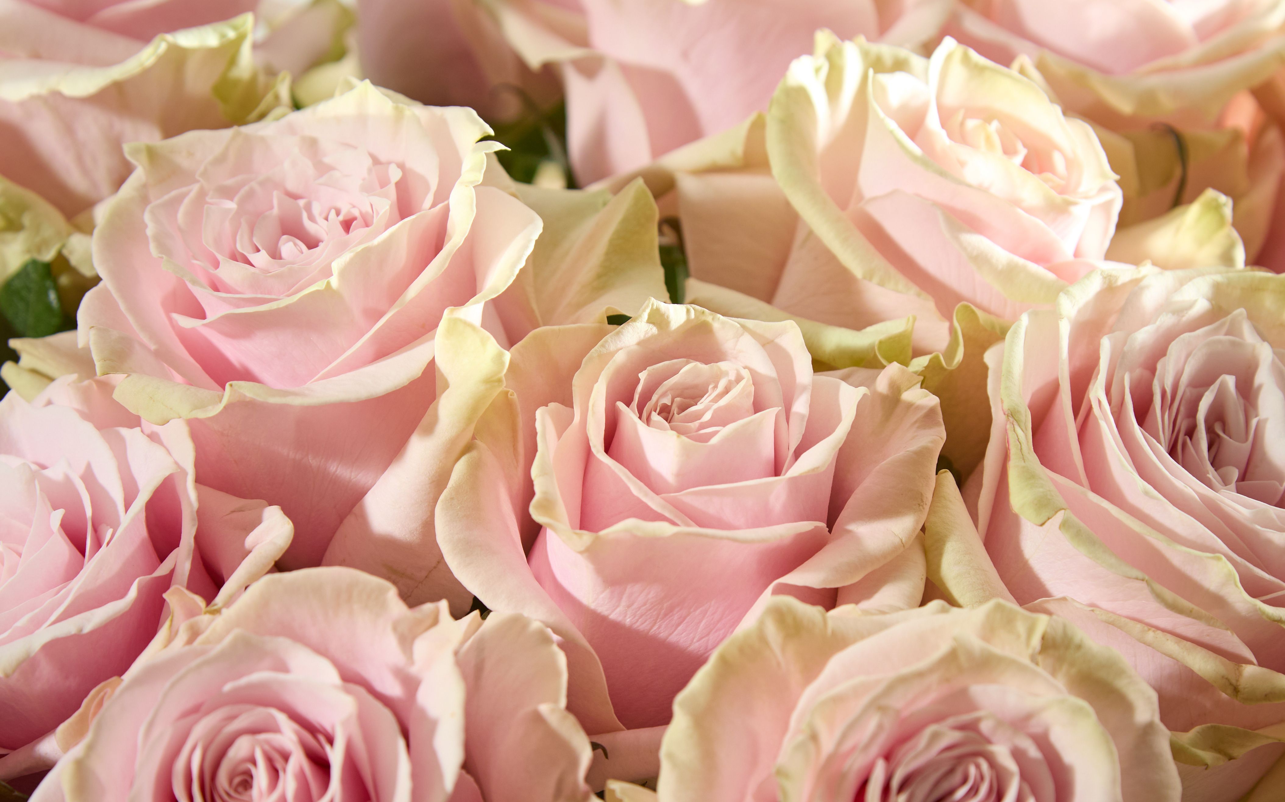 Flower Delivery Chester - Arena Flowers